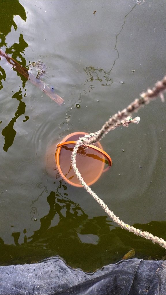 Pulling water from river with bucket - PixaHive