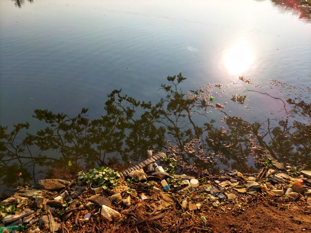 Waste floating in the lake polluting the ecosystem - PixaHive