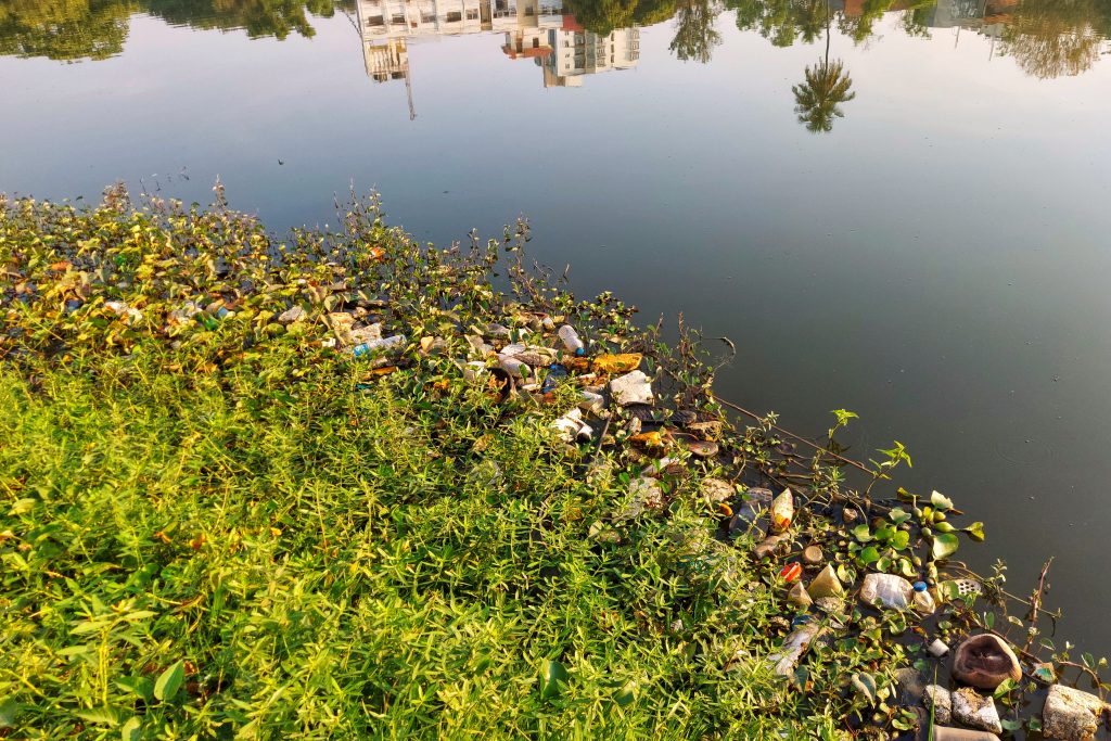 Waste in lake - PixaHive