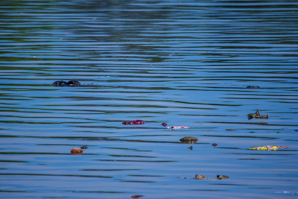 Waste material floating in a river - PixaHive