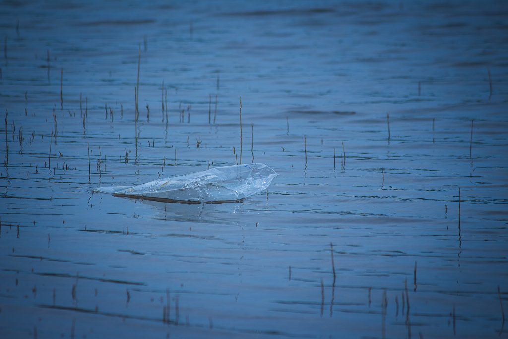 Waste material in the river - PixaHive