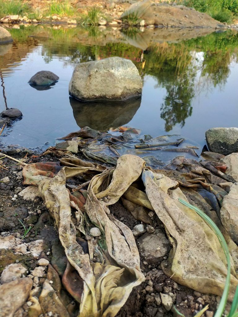 Waste materials in water - PixaHive