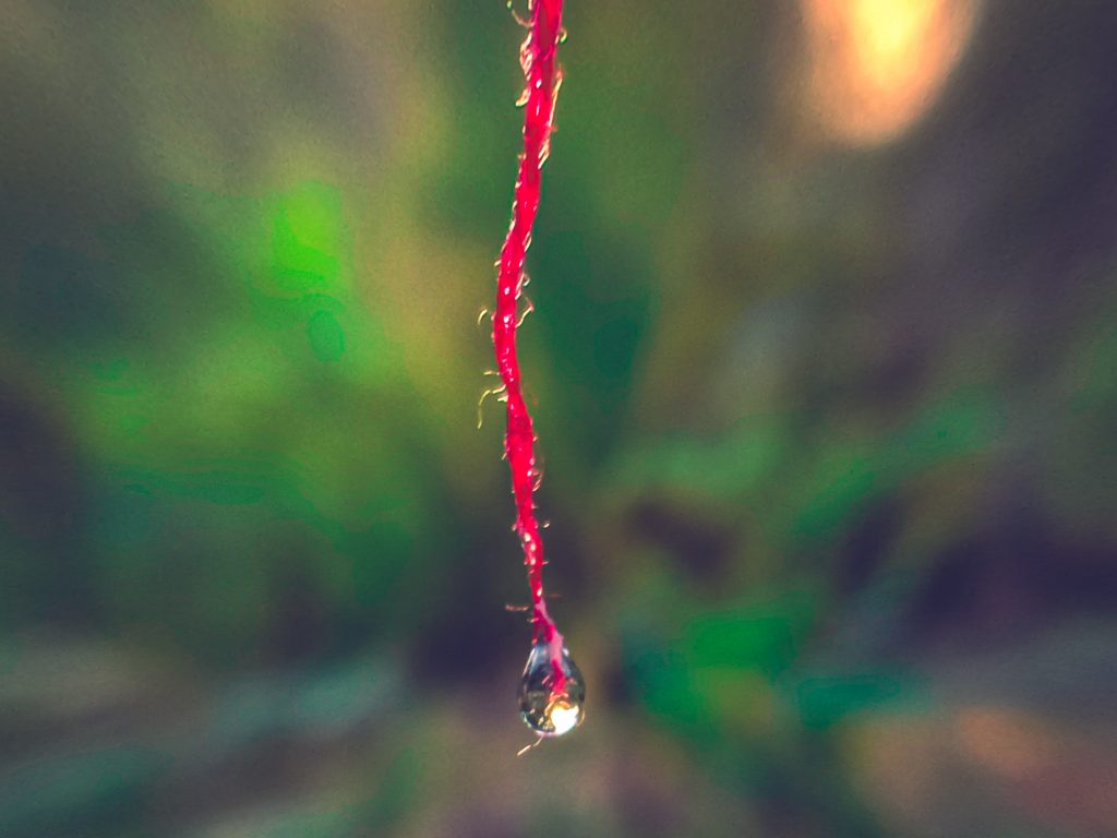 Water drop on thread - PixaHive