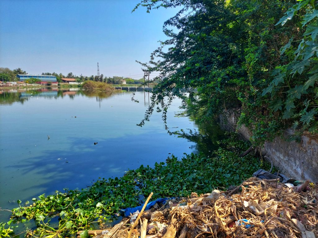 Water pollution due to waste dumps and water plants - PixaHive