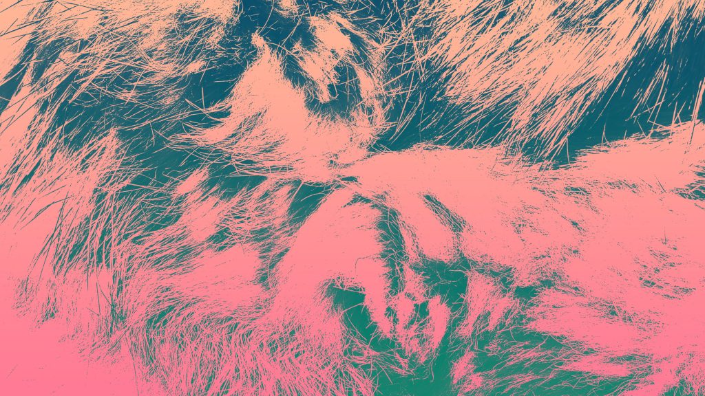 colorful-texture-background - PixaHive