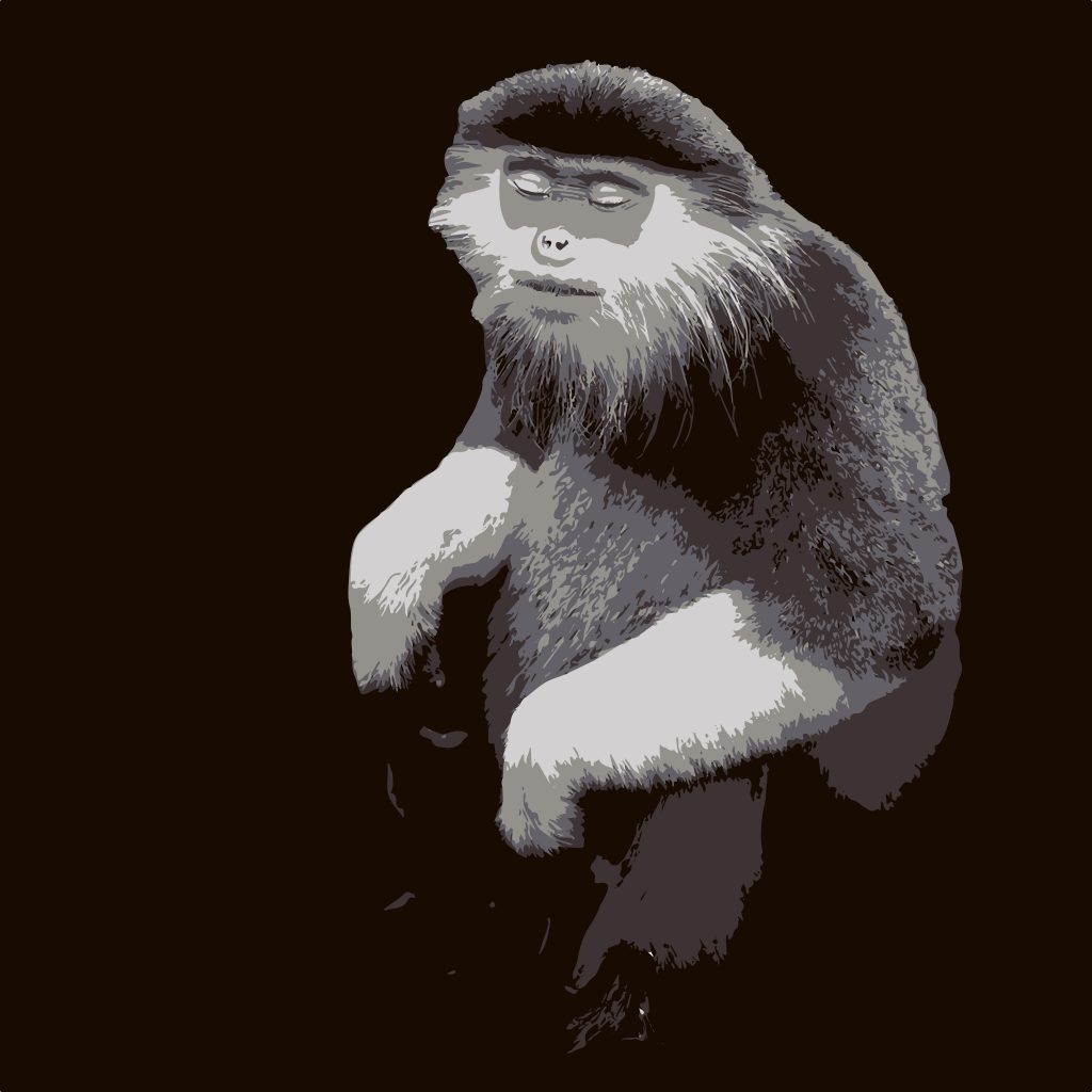 ILLUSTRATION of Monkey - PixaHive
