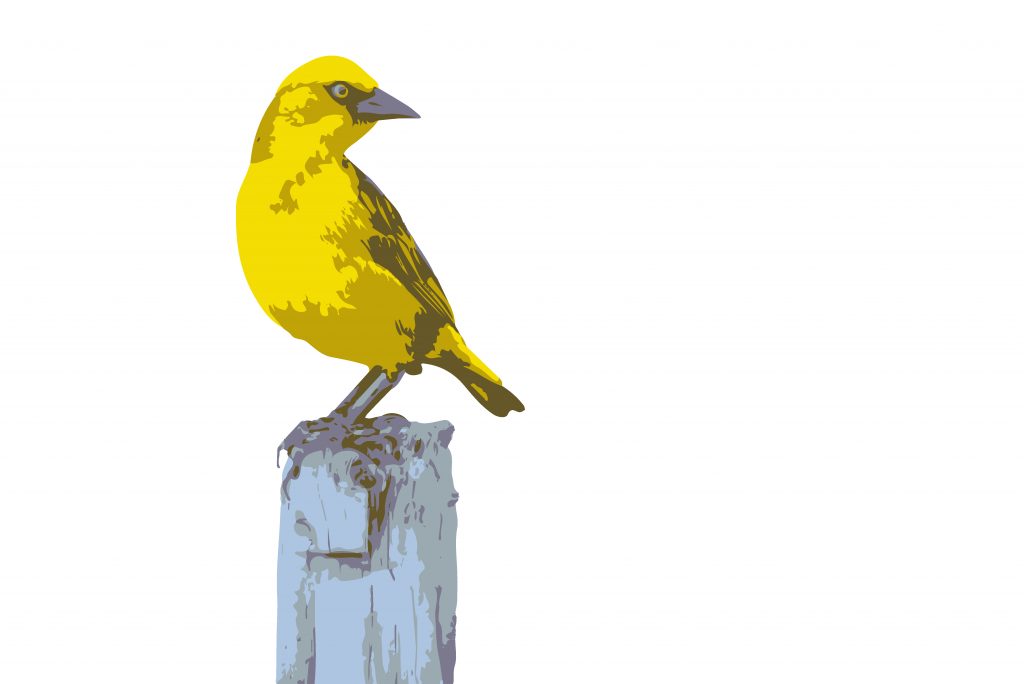 ILLUSTRATION of a bird sitting on the tree - PixaHive