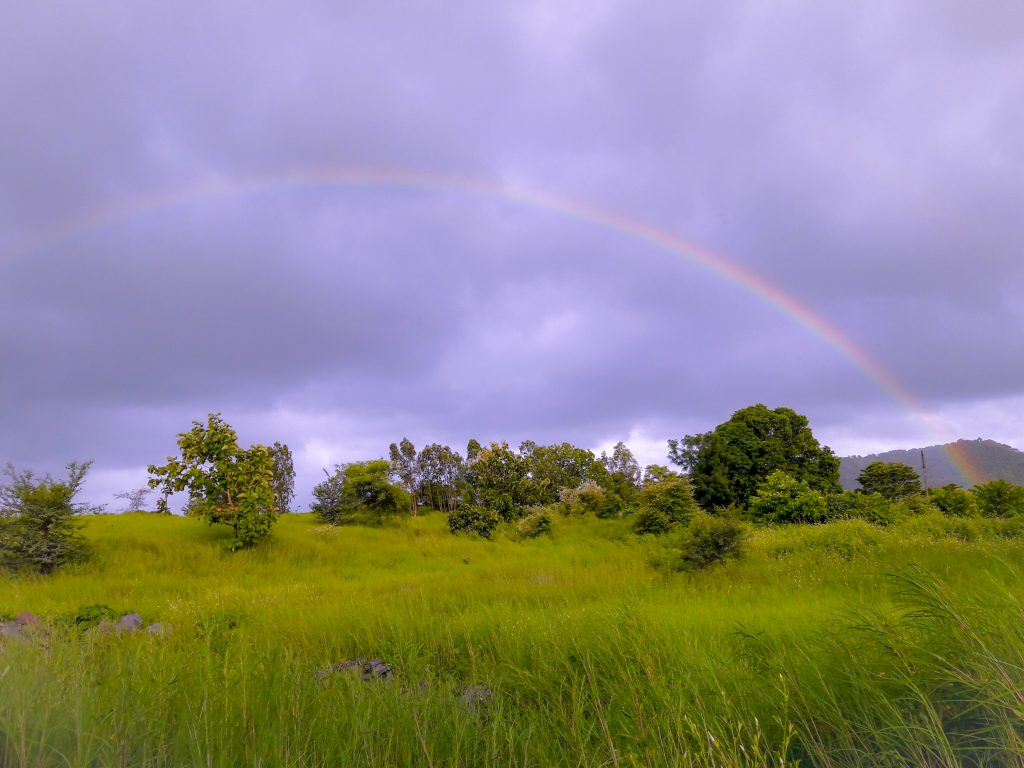 Rambo in the sky - PixaHive