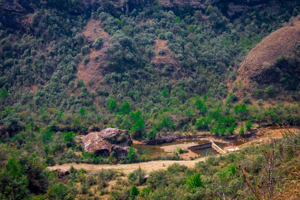 A big rock in a forest - PixaHive