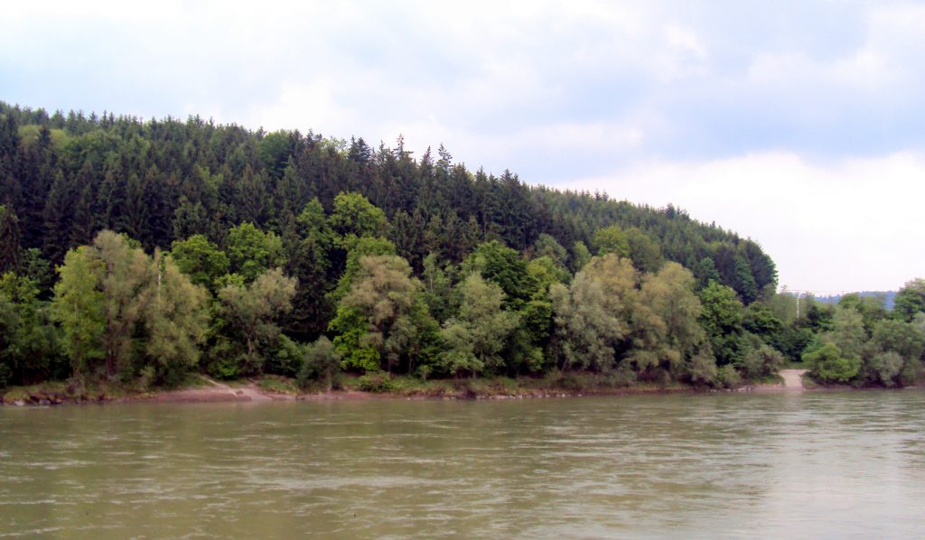 River in the forest - PixaHive