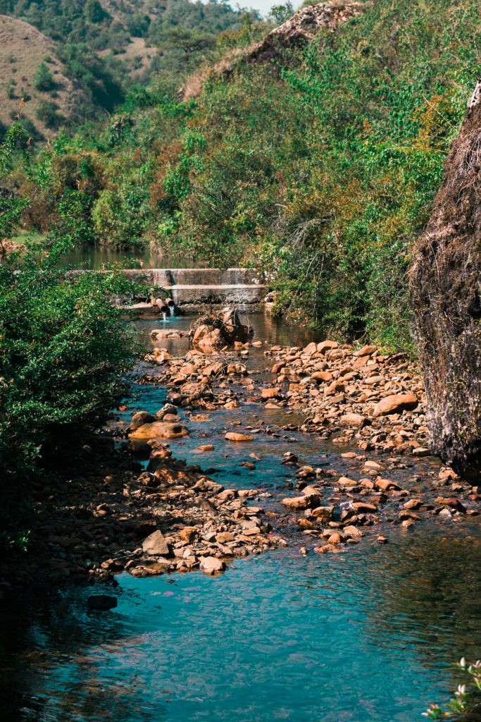 Small river stream in the forest - PixaHive