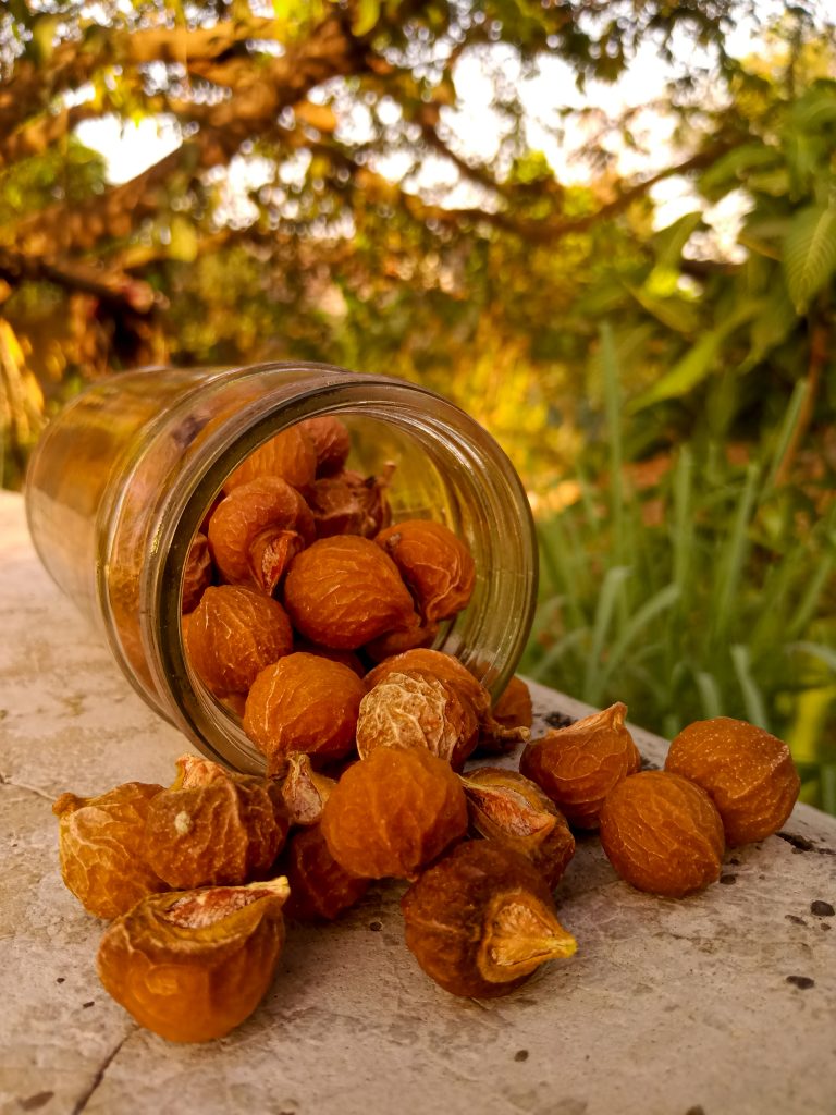 Soup nuts in a container - PixaHive