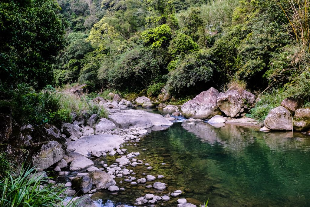 The pond in forest - PixaHive