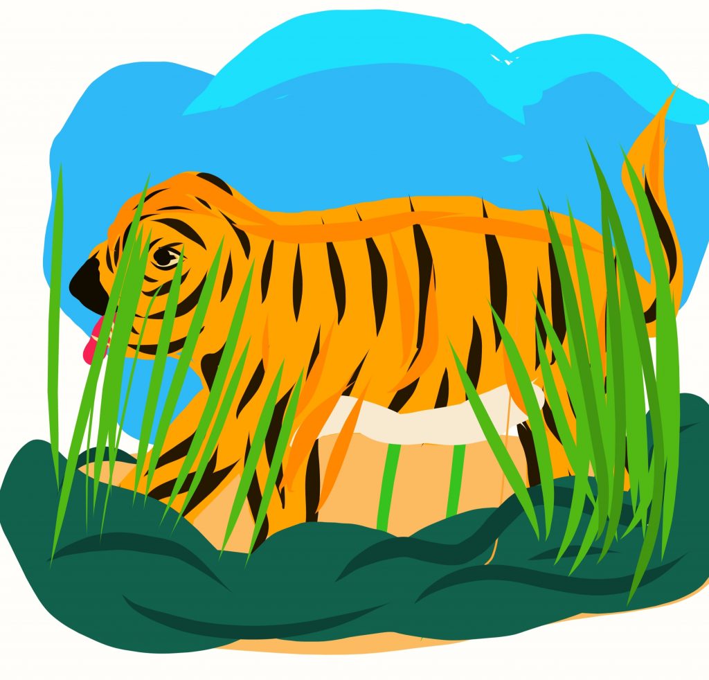 Tiger illustration - PixaHive