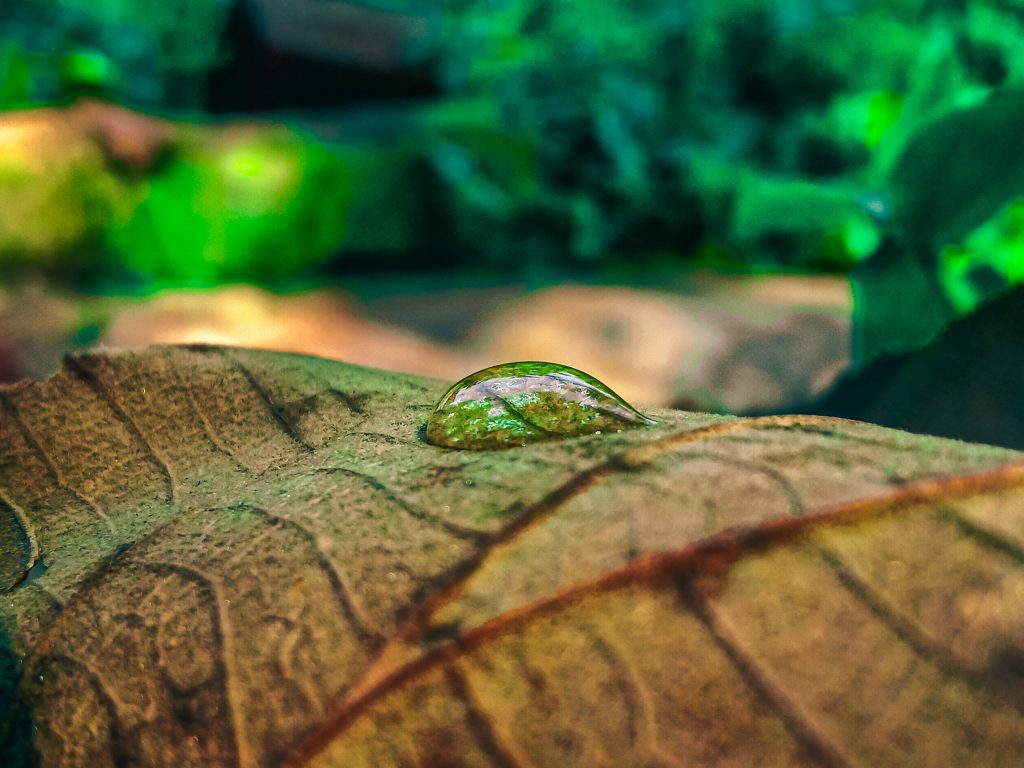 Water drop color - PixaHive