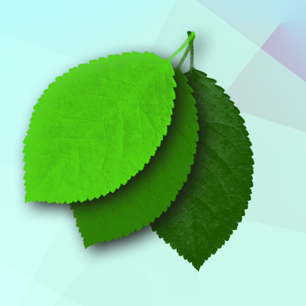 green LEAF ILLUSTRATION - PixaHive