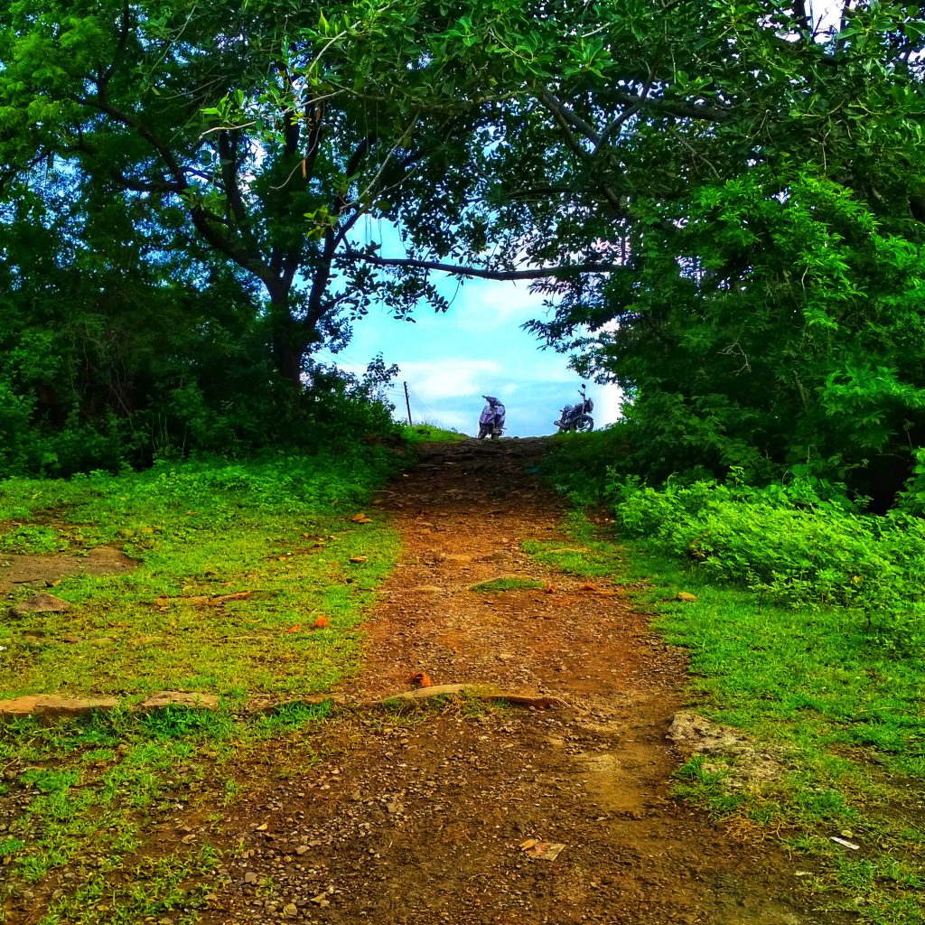 A green path and trees - PixaHive