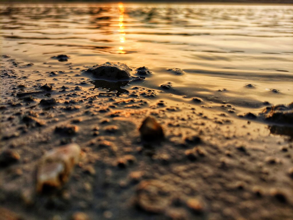 Sunrays falling on muddy water - PixaHive