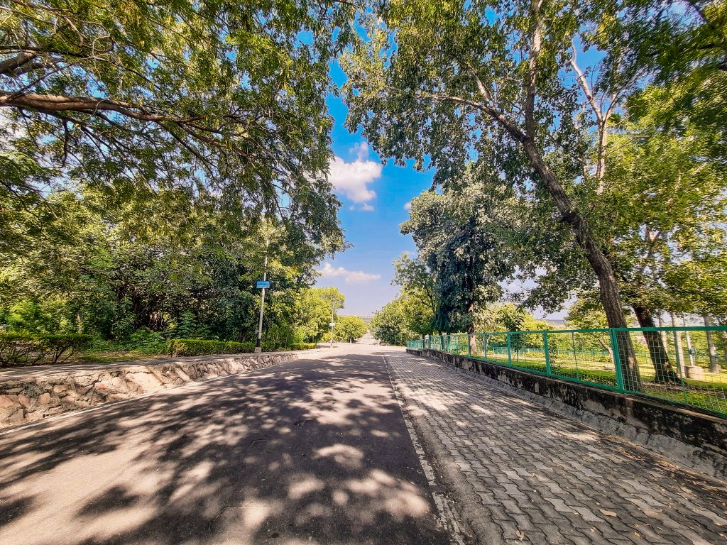 Trees shadow falling on a road - PixaHive