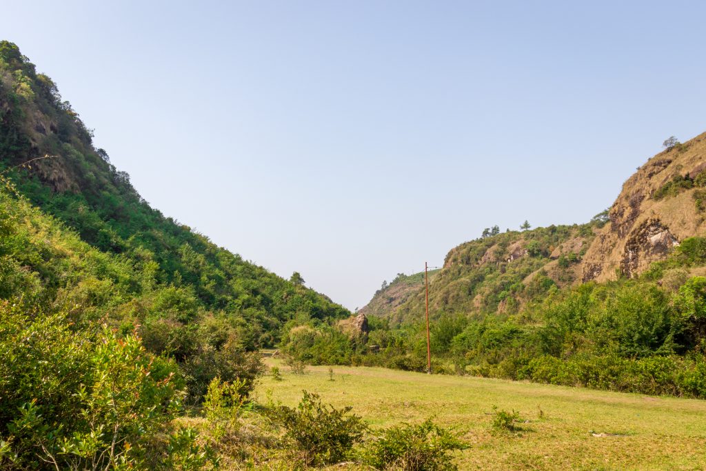 forest Landscape - PixaHive